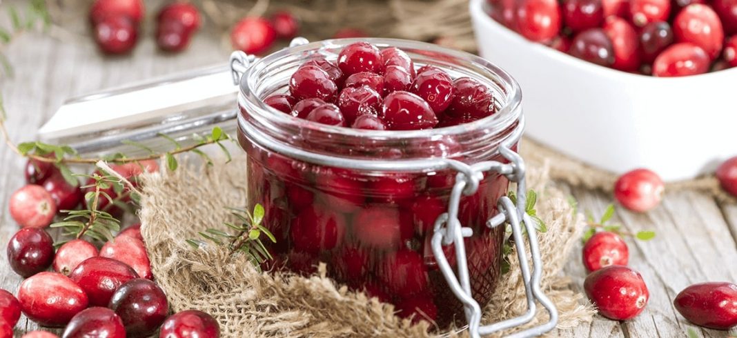 7 benefícios do cranberry para a saúde - Vamos Falar de Coisa Boa